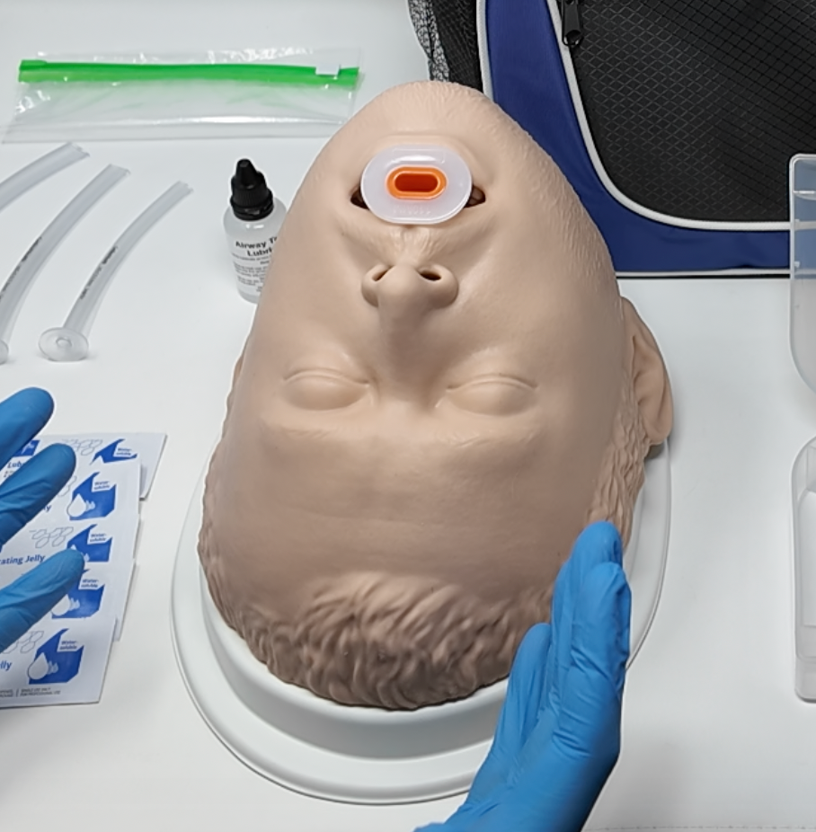 BLS Airway Task Trainer Kit – wildmedkits