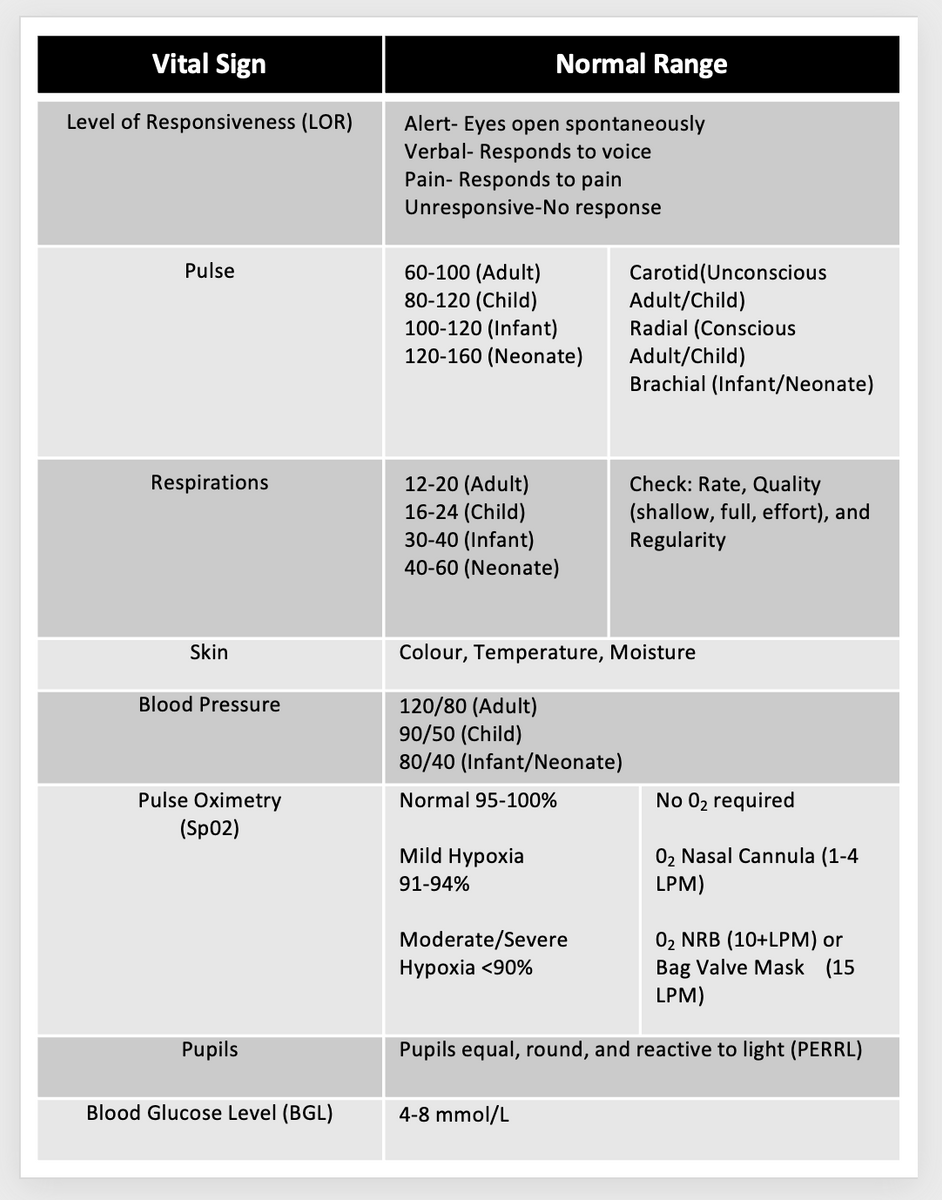 Professional Vital Sign Assessment Kit – wildmedkits