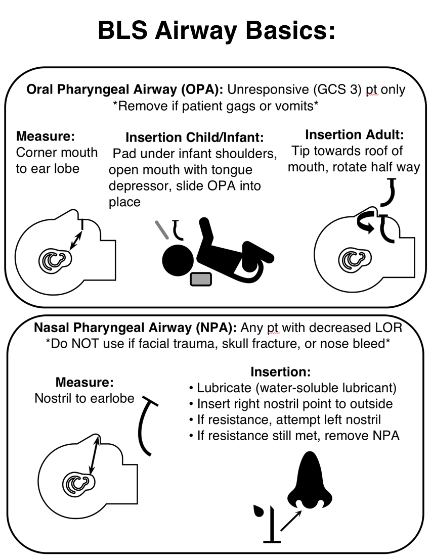 BLS Airway Module – wildmedkits
